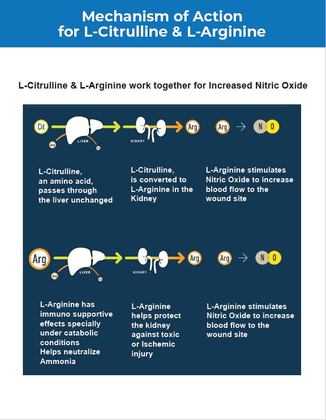 L-ARGININE PRO™ 12 Packets – RV Nutritional LLC